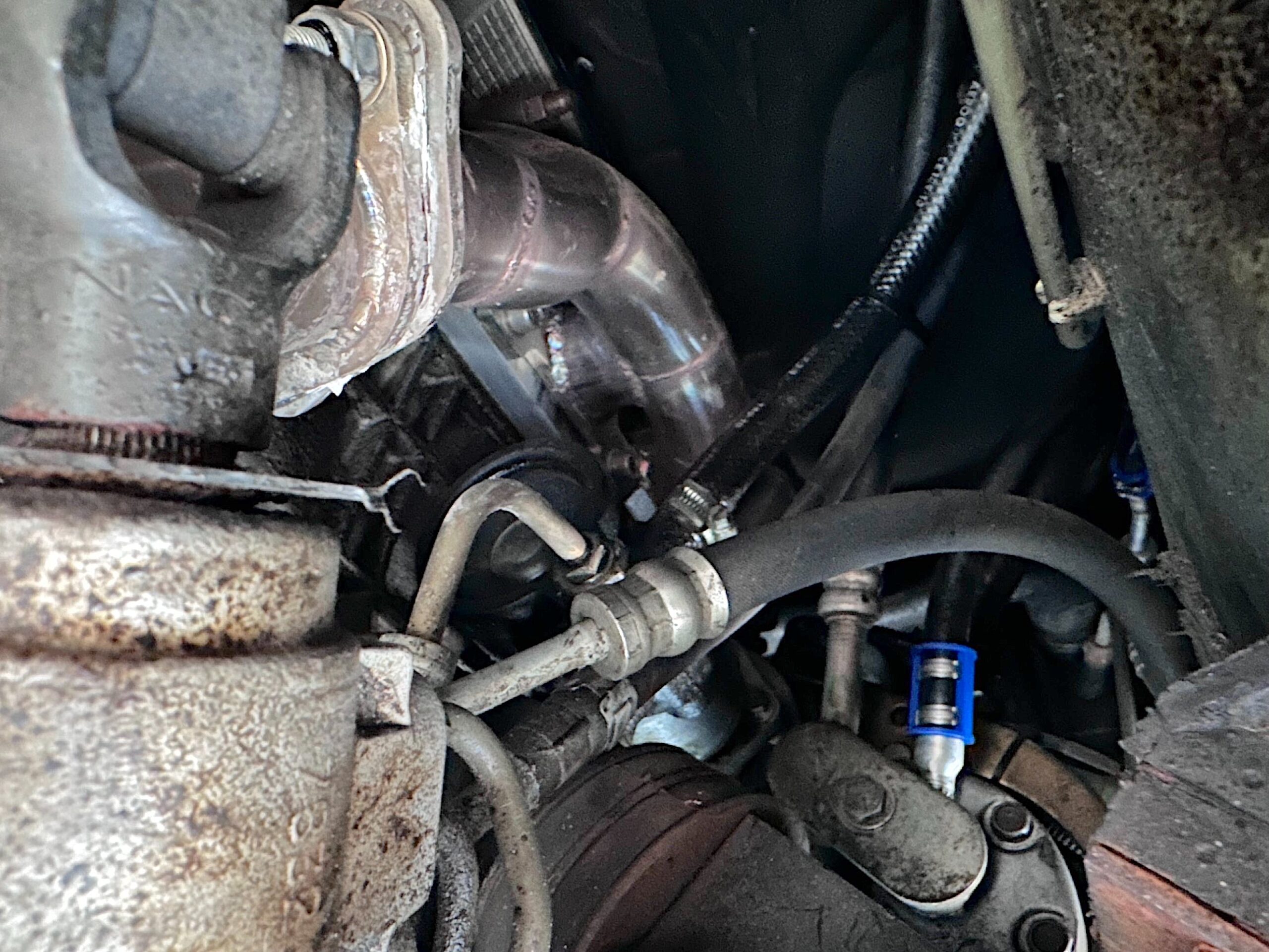 Jaguar XJS 4.0 Celebration - Retro-mod - Shmoo Automotive